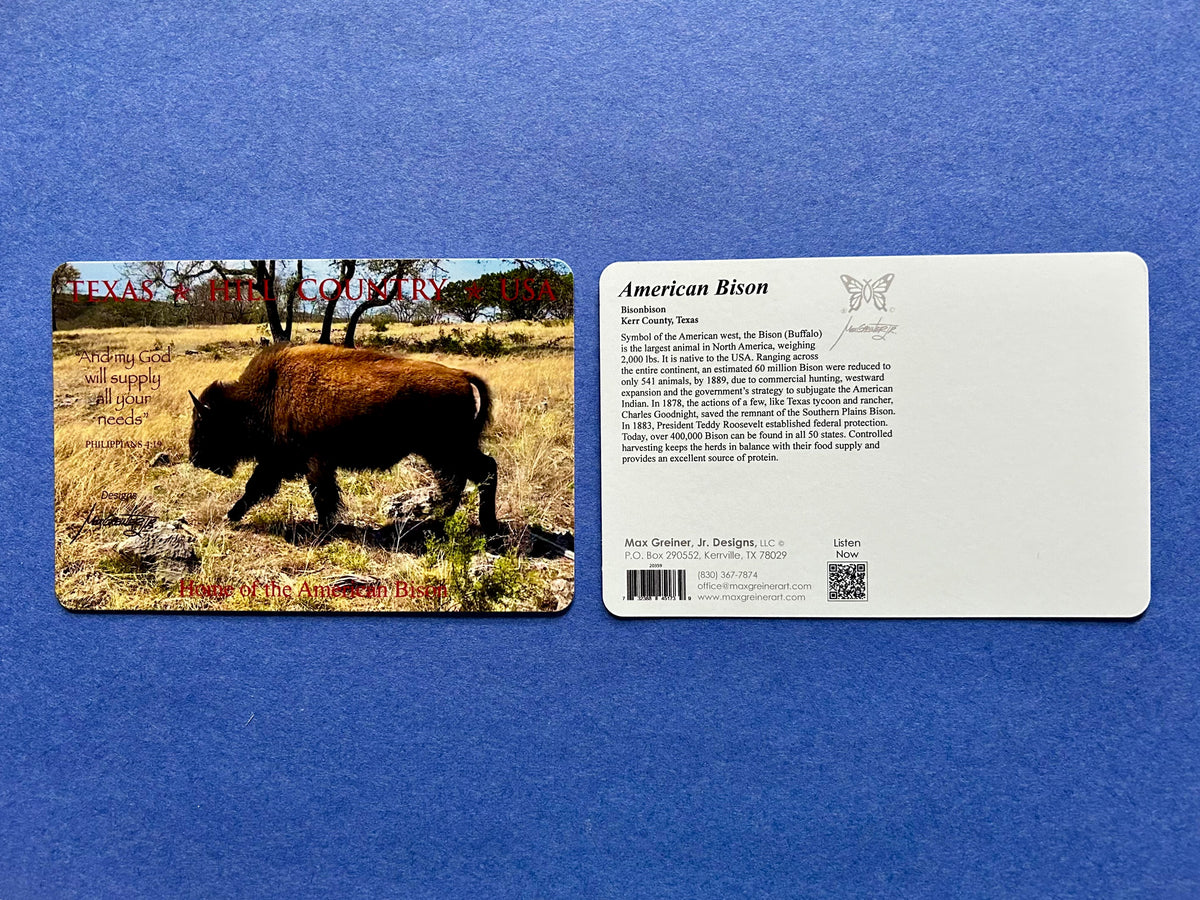Postcard - American Bison (Buffalo) – Max Greiner Jr. Designs, LLC