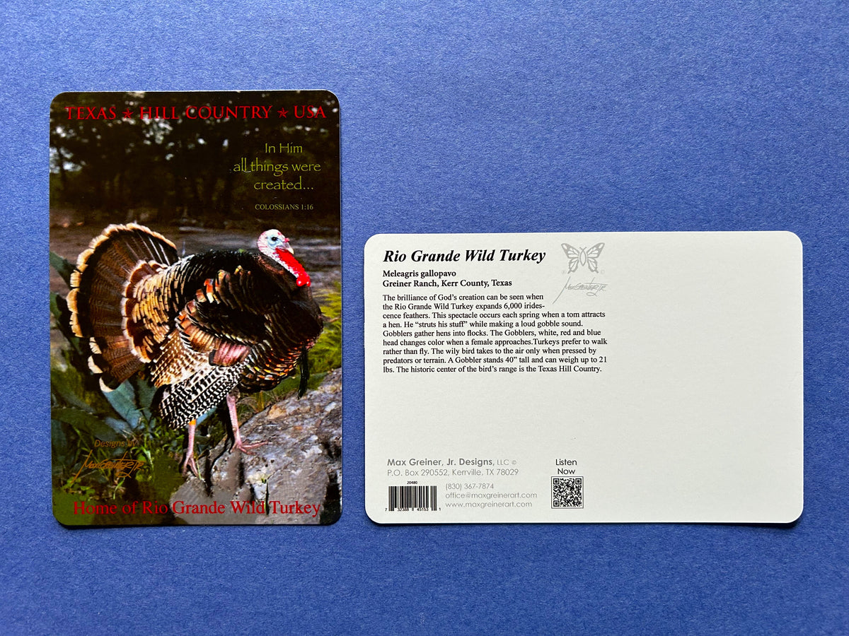 Postcard - Wild Turkey – Max Greiner Jr. Designs, LLC