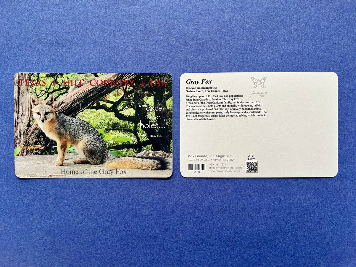 Postcard - Grey Fox – Max Greiner Jr. Designs, LLC