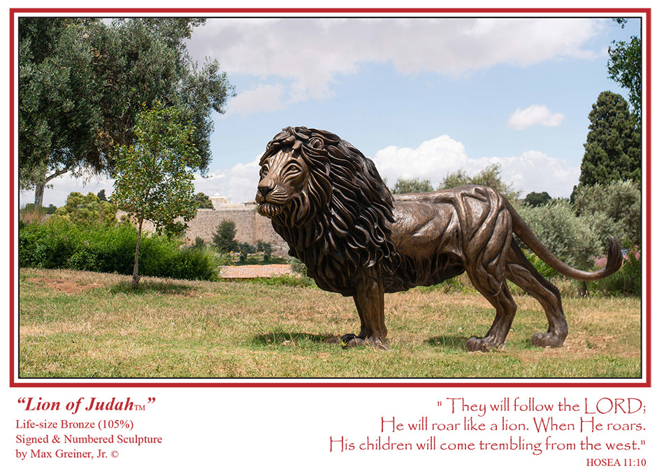 "Lion of Judah" in Israel - 6 Note Cards – Max Greiner Jr. Designs, LLC