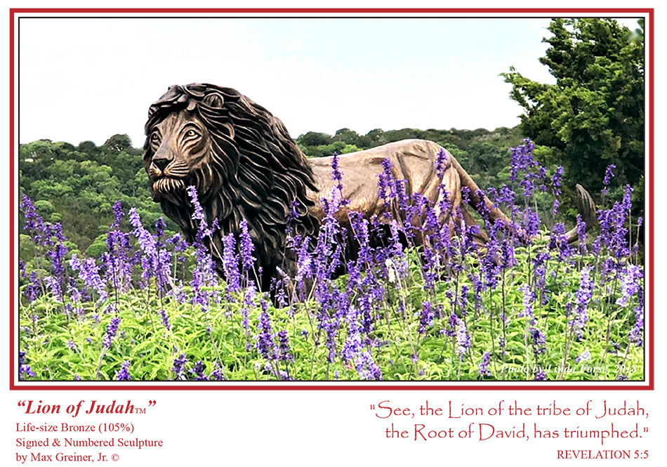"Lion of Judah" Flowers - 6 Note Cards – Max Greiner Jr. Designs, LLC