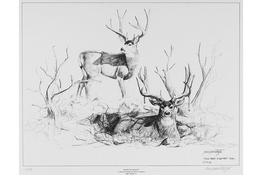 Mule Deer Drawing How To Draw A Mule Deer (Wild Animals) Step By Step