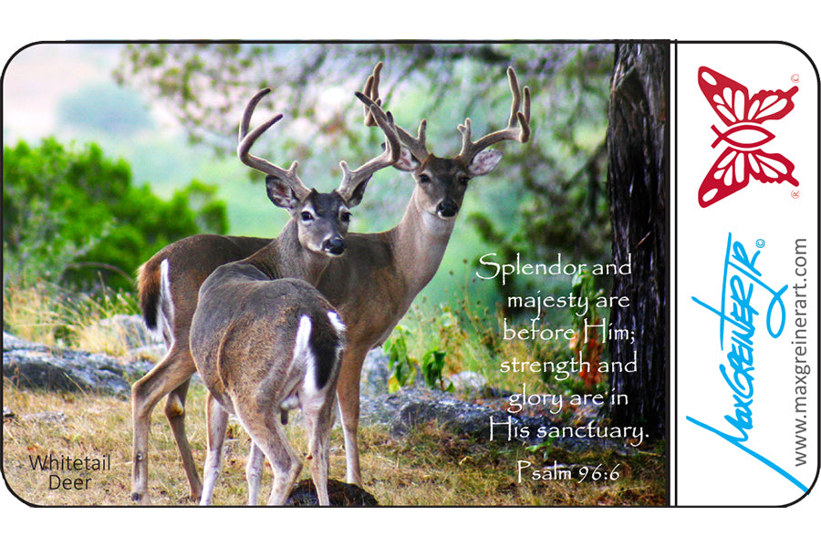 "Two Deer" - Psalm 96:6 Magnet – Max Greiner Jr. Designs, LLC